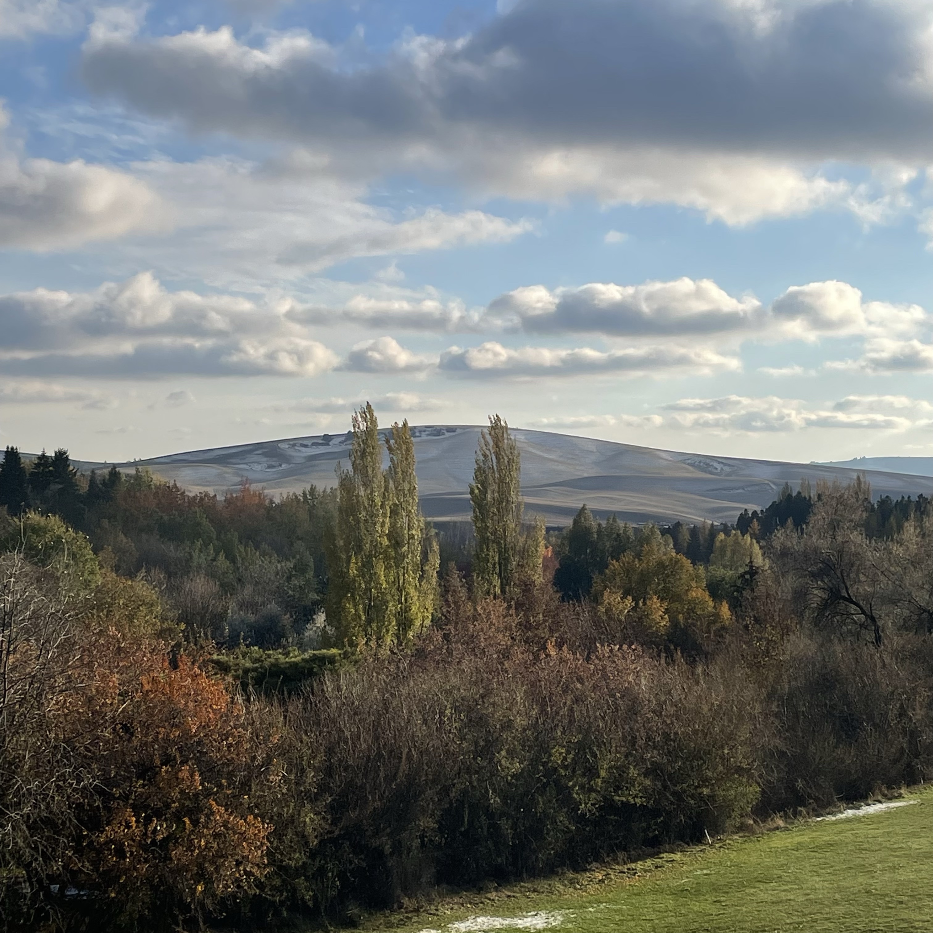 UI Arboretum & Botanical Garden – AlewPNW